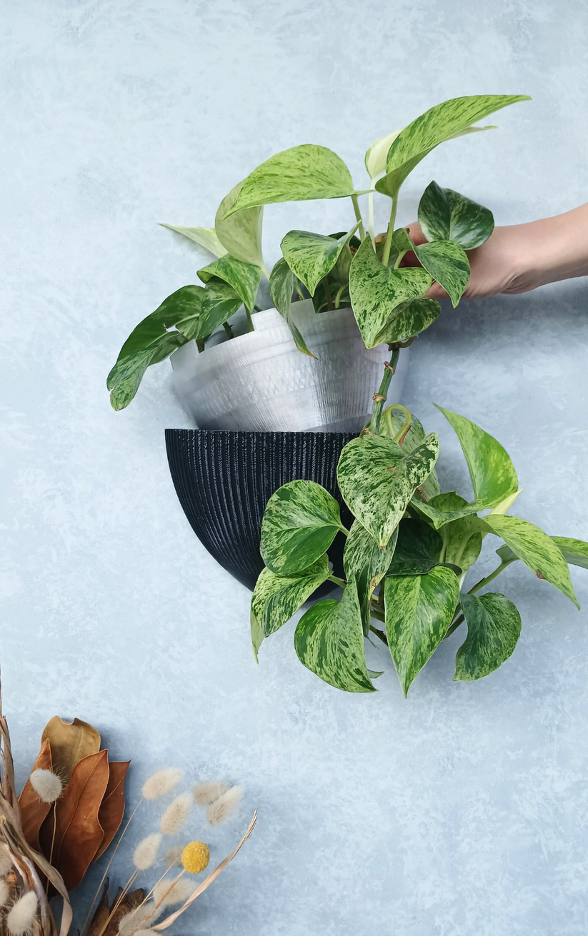 Flute - Gecko Planter® – Gecko Studio