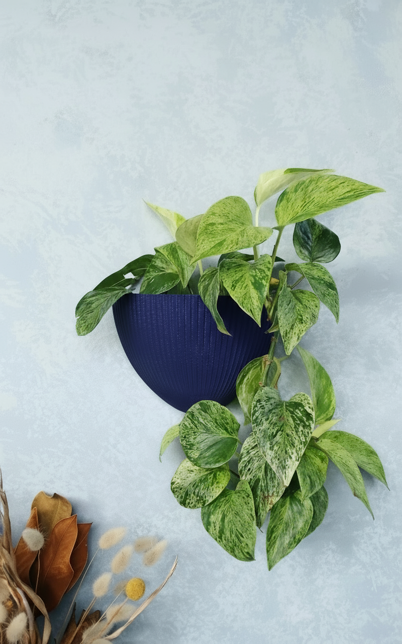 Flute - Gecko Planter® – Gecko Studio